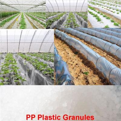 China Agriculture Film PP Plastic Granules Polypropylene Plastic Pellets SGS for sale