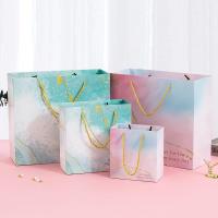 China Brown Colorful Paper Carrier Bags With Twist And Lylon Handles Shopping Bags for sale