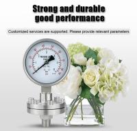 China High Precision YTP100BF 1.6% 304ss Diaphragm Seal Pressure Gauge Manometer 60bar 100mm for sale