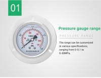 China 60mm Back Connection Pressure Gauge with Flange 250bar 304ss Liquid-Filled Manometer for sale