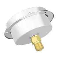China 100mm Diaphragm Type 304ss Stainless Steel Back Capsule Pressure Gauge with Flange for sale