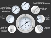China YE100ZTBF 2.5% High Precision Diaphragm Seal Capsule Stainless Steel Pressure Meter for sale