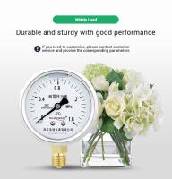 China 60mm YN60 1-600 Bar Precision Pressure Gauge for Glycerol Filling Fuel Pressure Testing for sale
