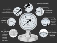 China High Temperature Resistant Stainless Steel Pressure Gauge for Pneumatic Applications for sale