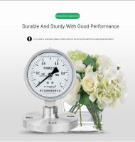 China High Temperature Resistant Stainless Steel Pressure Gauge for Pneumatic Applications for sale