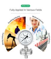 China Matte Stainless Steel 0-10mpa ZG1/2 M20*1.5 Thread Pressure Gauge With Diaphragm for sale
