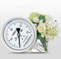 China High Pressure Gauge with 1.6% Precision Manometer and Radial Bottom Threaded from Zhejiang for sale