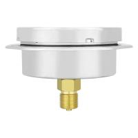 China 100mm Nominal Diameter YE100ZT Hydraulic Oil Capsule Pressure Gauge with CE Certification for sale