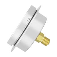 China 100mm Nominal Diameter YE100ZT Hydraulic Oil Capsule Pressure Gauge with CE Certification for sale