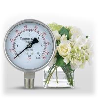 China Matte Stainless Steel Pressure Gauge M20*1.5 Thread 250mpa for Hydraulic Applications for sale