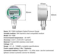 China Two Size 7 Battery-Powered Digital Pressure Gauge for Hydraulic Precision Measurement for sale