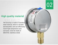 China 50mm Pressure Indicator Small Liquid Filled Pressure Gauge for Industrial Applications for sale