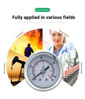 China 41.5mm Back Mounted Pressure Gauge for Water and Gas Applications in Biogas Systems for sale