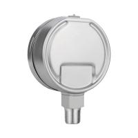 China Professional Y100BF 1/2 Thread Connection 100mm 600 Bar Pressure Gauge for Natural Gas for sale