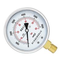 China 304 Stainless Steel M20*1.5 100mm Capsule Pressure Gauge for Precise Oil Gas Measure for sale