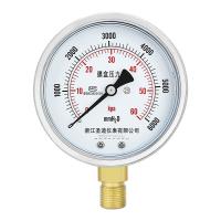 China 304 Stainless Steel M20*1.5 100mm Capsule Pressure Gauge for Precise Oil Gas Measure for sale