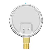 China 304 Stainless Steel M20*1.5 100mm Capsule Pressure Gauge for Precise Oil Gas Measure for sale
