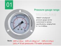 China 600bar Range YN60ZT Pressure Gauge with Stainless Steel Material and Brass Connection for sale