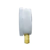 China 100mm Precision Panel Mount Pressure Gauge for Oil-Filled Water Air Pressure Measurement for sale