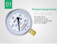 China 100mm Precision Panel Mount Pressure Gauge for Oil-Filled Water Air Pressure Measurement for sale