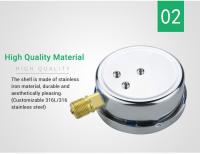 China 100mm Precision Panel Mount Pressure Gauge for Oil-Filled Water Air Pressure Measurement for sale
