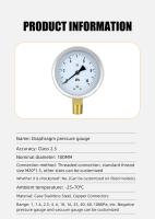 China 1.6 Range Gas Pressure Meter 100mm 2.5% Brass Joint Capsule Micro Steam Pressure Gauge for sale