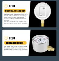 China YE60 3-inch 65mm 16KPa Micro-Pressure Gauge for Customer Requirements for sale