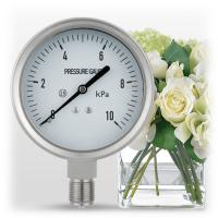 China 100mm 304ss Manometer Diaphragm Seal Pressure Gauge for Air Pressure Measuring Device for sale