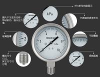 China 100mm 304ss Manometer Diaphragm Seal Pressure Gauge for Air Pressure Measuring Device for sale