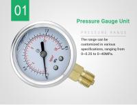 China 50mm Bottom Connection Glycerine Manometer Pressure Gauge for Oil Filled Applications for sale