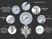 China 2.5 inch 60mm 304SS stainless steel diaphragm pressure gauge featuring ZG1/4 thread for sale