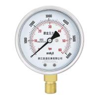 China 100mm Panel Manometer Pressure Gauge for Accurate Hydraulic Pressure Force Measurement for sale