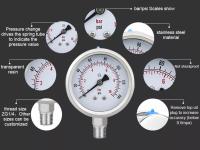 China All Stainless Steel Pressure Gauge 60mm 1/4 Threaded Connection for OEM Manufacturers for sale