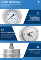 China Manufactured Full Stainless Steel Axial Pressure Measuring Instruments for Industrial for sale