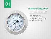 China Customized OEM Support 100mm Stainless Steel Diaphragm Seal Pressure Gauge with Flange for sale