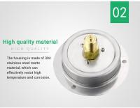 China Customized OEM Support 100mm Stainless Steel Diaphragm Seal Pressure Gauge with Flange for sale