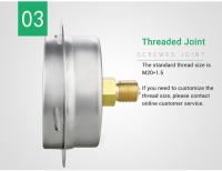 China Customized OEM Support 100mm Stainless Steel Diaphragm Seal Pressure Gauge with Flange for sale