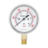China 65.2mm Nominal Diameter Water Manometer Gauge with YE60 Diaphragm Capsule Monitoring for sale