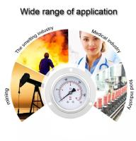 China Customized Support OEM 60mm All Stainless Steel Pressure Gauge 16bar ZG1/4/NPT1/4 Thread for sale