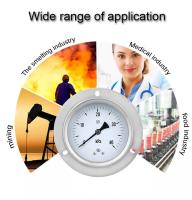 China 100mm 304ss Stainless Steel Diaphragm Capsule Micro Manometer Fuel Pressure Gauge for OEM for sale