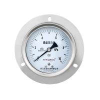 China YE100ZTBF All Stainless Steel Flange Pressure Gauges with NPT1/2 Thread Connection for sale