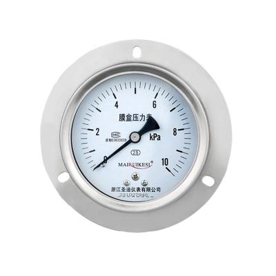 China YE100ZTBF All Stainless Steel Flange Pressure Gauges with NPT1/2 Thread Connection for sale