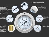 China YE100ZTBF All Stainless Steel Flange Pressure Gauges with NPT1/2 Thread Connection for sale