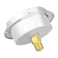 China 4 Inches Panel Axial Capsule Air Pressure Gauge for Mechanical Gas Pressure Measurement for sale