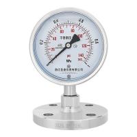 China High Accuracy Pressure Meter DN10/15/20 304 Stainless Steel YTP100BF Diaphragm Seal for sale