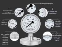 China Flange Type Water Pressure Indicator Diaphragm Manometer Hydraulic Oil Pressure Gauge for sale
