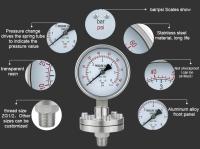 China YTP100BF 100mm Nominal Diameter Double Scale Stainless Steel Diaphragm Seal Pressure Gauge for sale