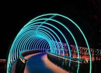 China Decorative Background indoor flexible led strip Light rgb white warm blue color 5V 12v 24V  5M  Luminous cob led strip light for sale