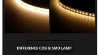 China Decorative Background indoor flexible led strip Light rgb white warm blue color 5V 12v 24V  5M  Luminous cob led strip light for sale