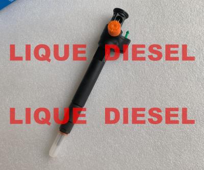 China DELPHI Common Rail Injector 28602948 9674984080 28388960 28319895 Genuine New for sale